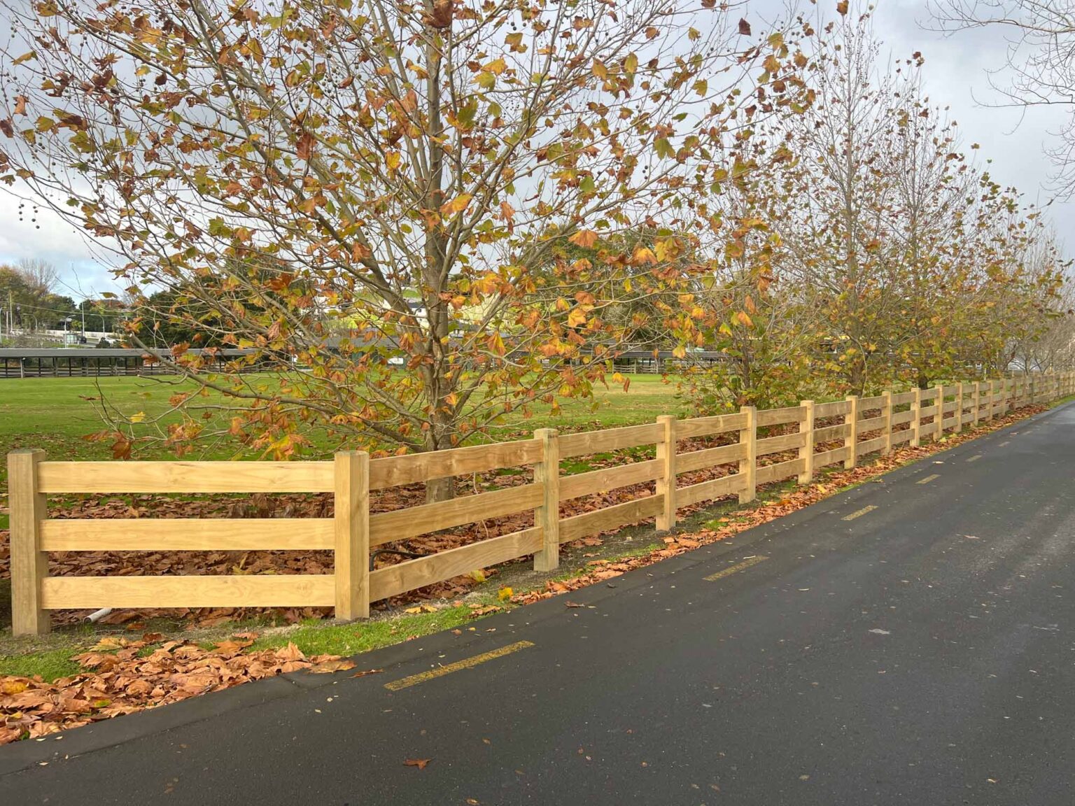 Interlock Fencing for Warkworth Showgrounds - Beams and Timber